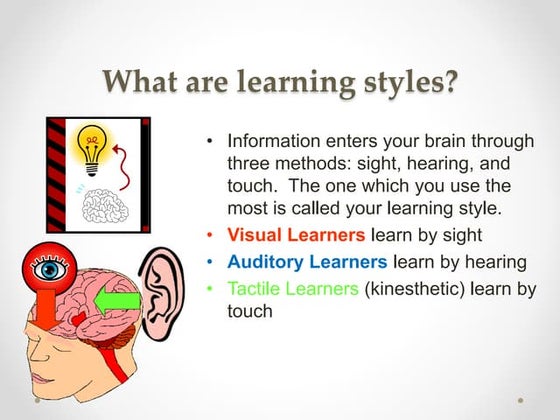 Learning style ppt | PPT