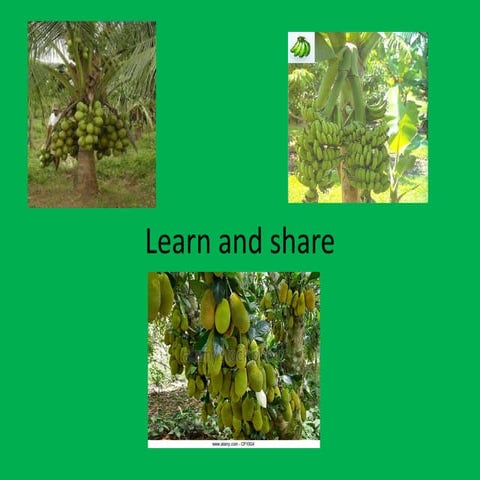 Learn and share | PPTX