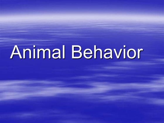 animal behaviours and its types with examples | PPTX