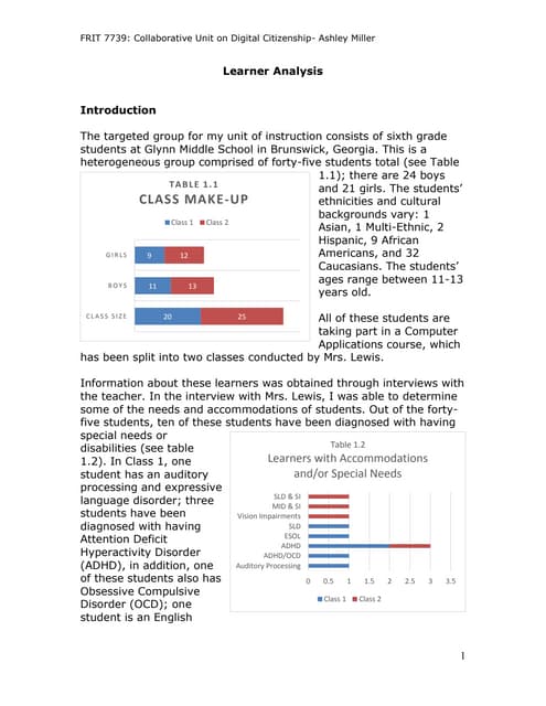 Learner analysis 2.1 | PDF
