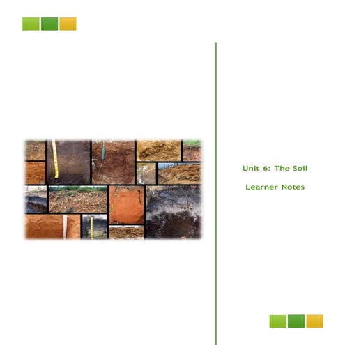 Inorganic and organic components of soil (soil composition) | PPTX