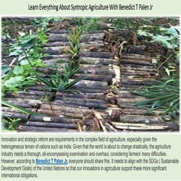 Learn Everything About Syntropic Agriculture With Benedict T Palen Jr ...