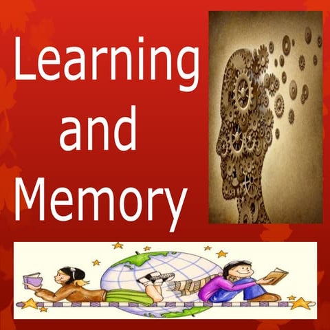 Psychology Memory and Learning Power Point | PPTX