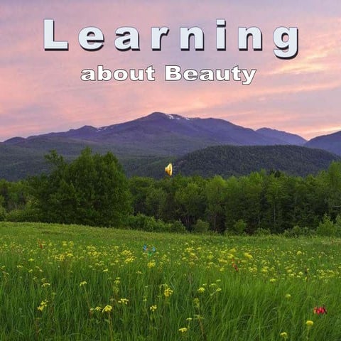 Learning About Beauty Slideshow by: Kal-el | PPT