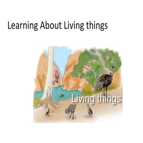 Living and non living things | PDF