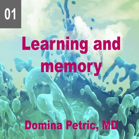 Learning and memory | PPSX