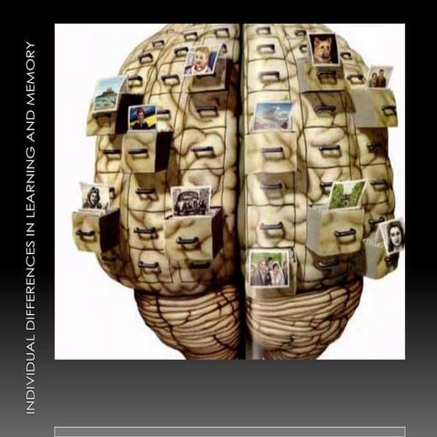 Learning And Memory Presentation | PPTX | Parenting Babies and Toddlers ...