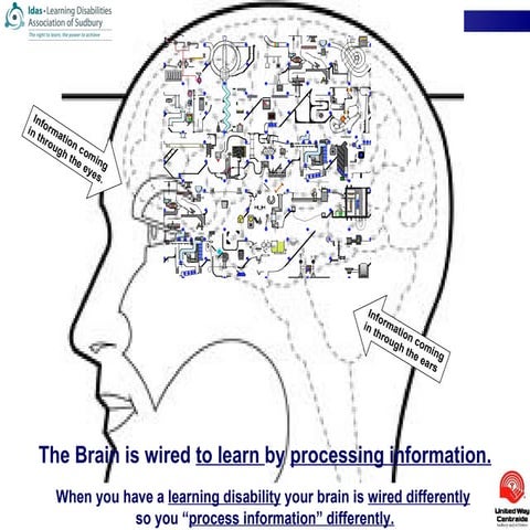 Learning disability sensitivity slides | PPT