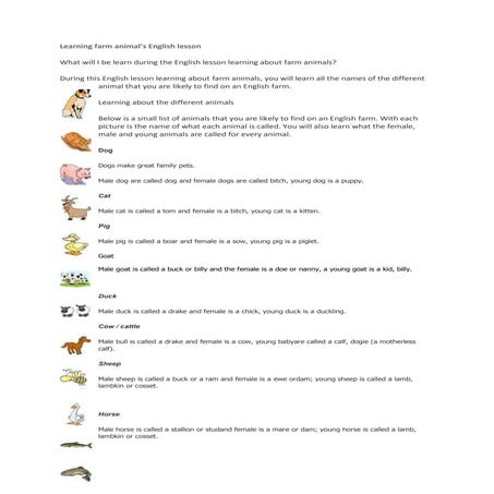 Learning farm animal's | DOCX