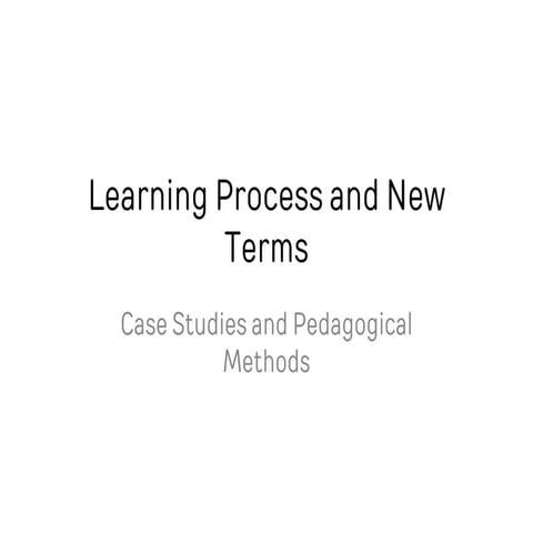 Learning_Process_and_New_Terms_Presentation_Updated.pptx_20241127 ...