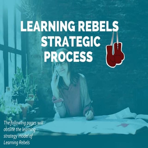Learning rebels llc