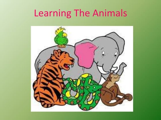 Power Point Learning About Animals | PPT