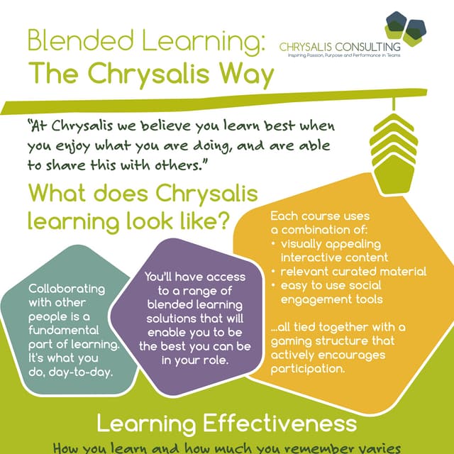 Learning: The Chrysalis Way | PDF