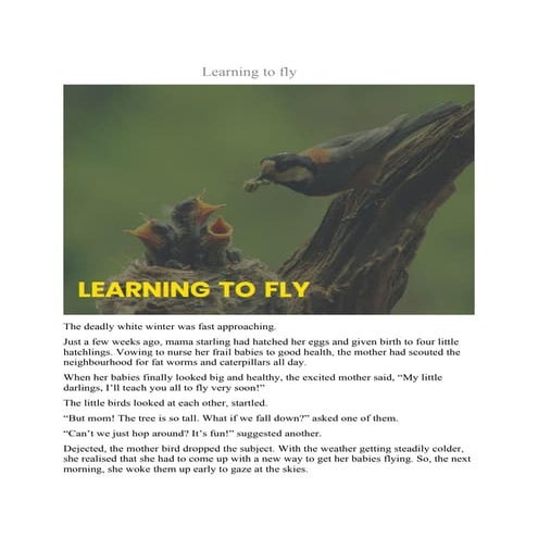 Learning to fly | PDF