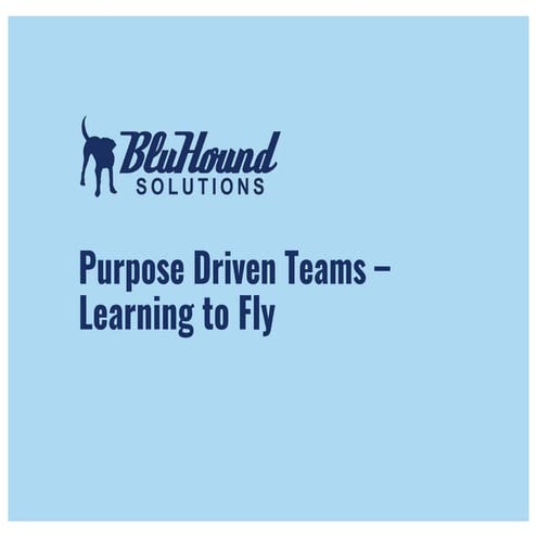 Learning To Fly - Purpose Driven Teams | PDF
