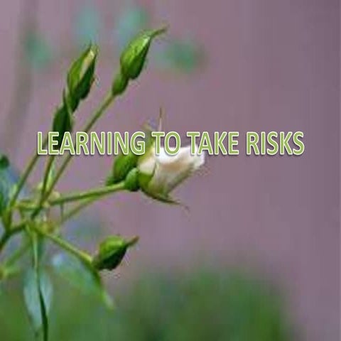 Learning to take risks | PPTX