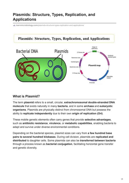 learnmicrobiology.com-Single Cell Protein (SCP): Sources, Production ...