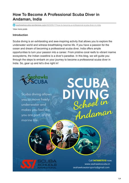 Scuba Diving in Sydney & PADI Dive Courses | PPT