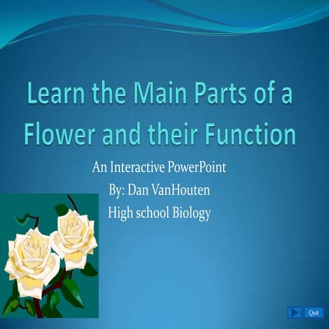 Learn The Main Parts Of A Flower And | PPTX