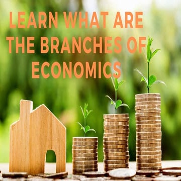 Learn what are the branches of economics | PPTX