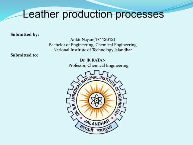 Leather industry by ankit nayan(17112012) | PPT Leather industry by ankit nayan(17112012) | PPT