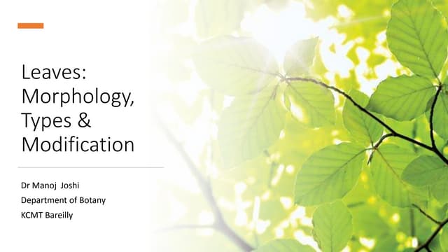 Stem Functions And its modifications | PPTX