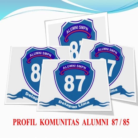 Profil alumni 87 | PPTX