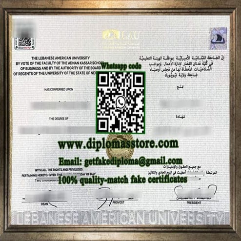 Lebanese American University degree, LAU diploma | PDF