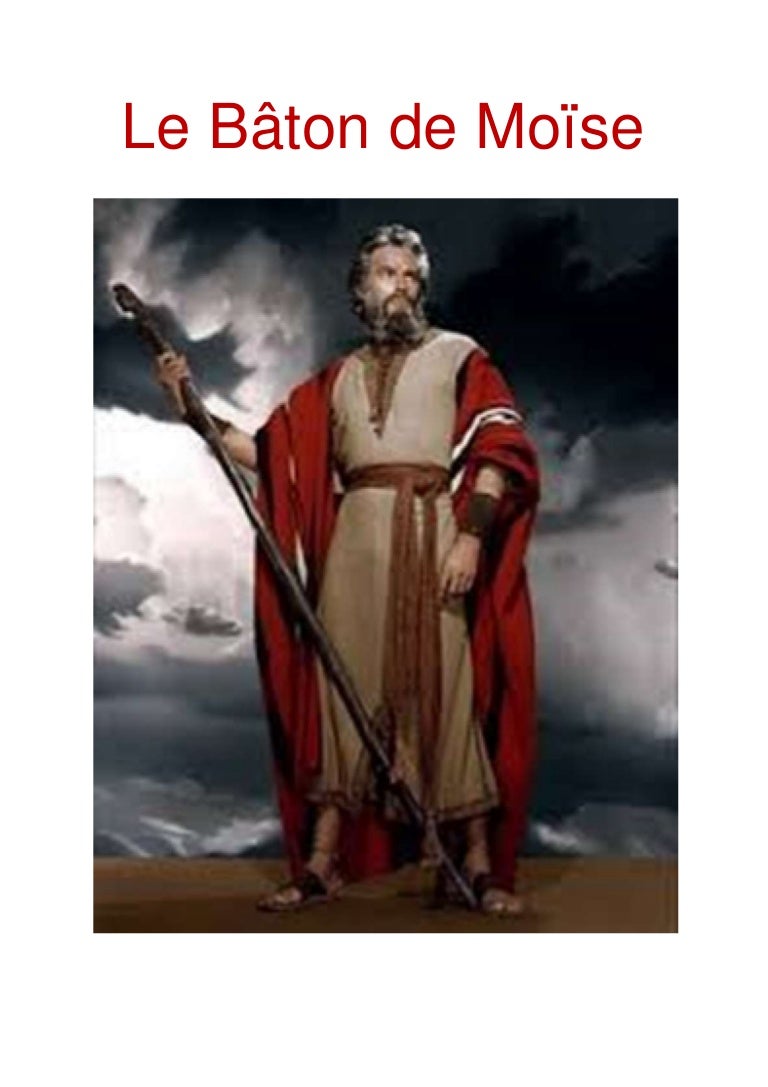 LE BÂTON DE MOISE