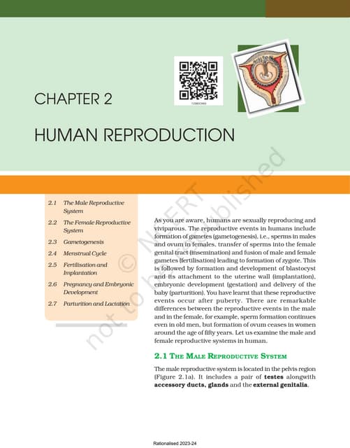 HUMAN REPRODUCTION .pptx class XII Biology | PPT