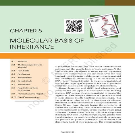 Molecular basis of inheritance ..The DNA | PPTX