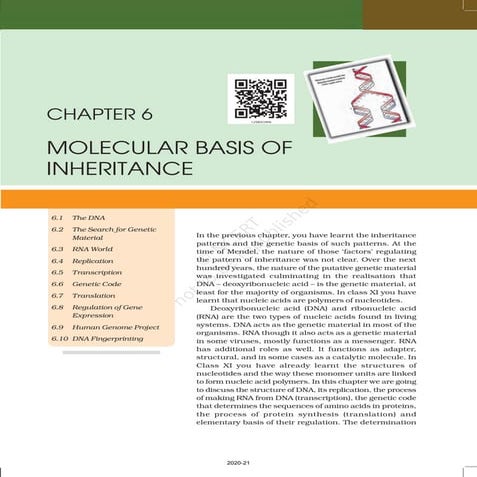 MOLECULAR BASIS OF INHERITANCE ( it very useful) | PDF