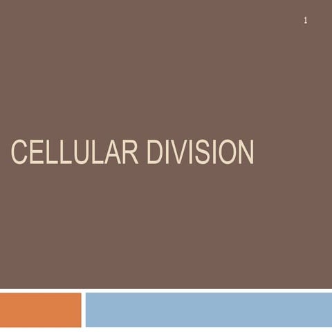 Bio103 Nsu Lecture 13 14 Cell Cycle Pptx