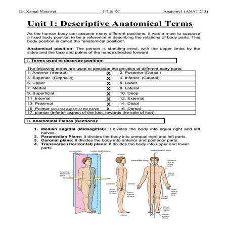 Lec.1 3,descriptive anatomical-terms-pt-rc | PDF