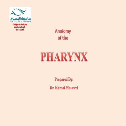 Histology of pharynx & larynx | PPTX