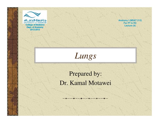 lungs anatomy | PPTX