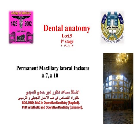 Morphology of Permanent Maxillary Central Incisor- Dr. Saba Arshad.pptx