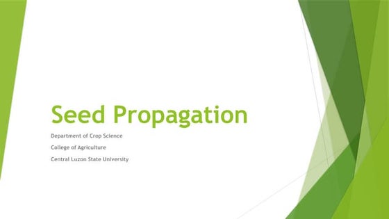 Seed Testing for Germination | PPTX