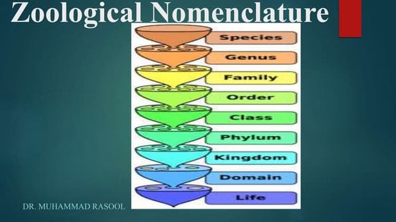 INTERNATIONAL CODE OF ZOOLOGICAL NOMENCLATURE | PDF | Genetics | Science