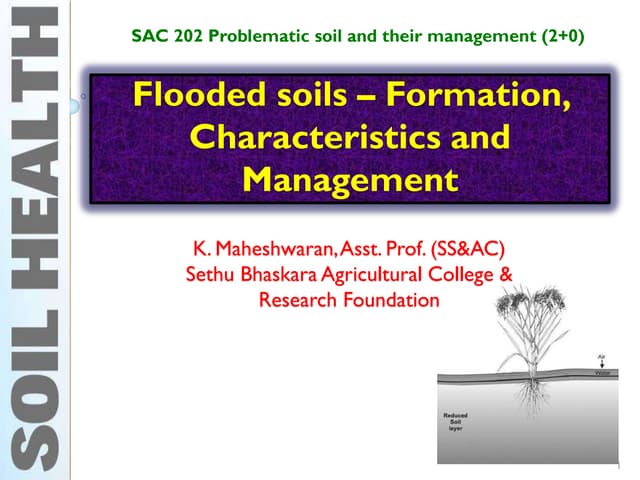 Sources of charges in soil | PPTX