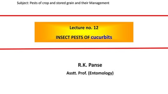 Rice case worm | PPT