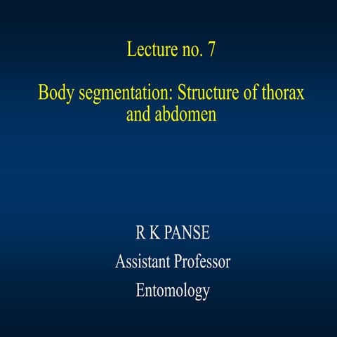 Lec. 7 Body segmentation Structure of thorax & abdomen.ppt