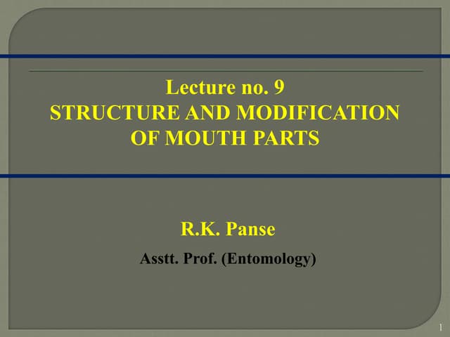 Insect thorax : Its areas, structure, function and modification in ...