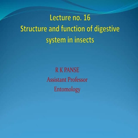 Lec. 16 Digestive system.ppt