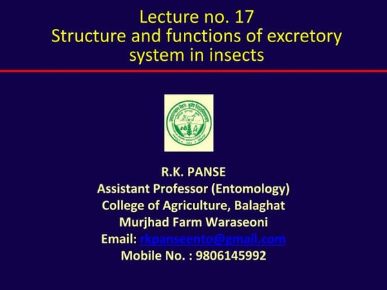 The Insect Thorax | PPT