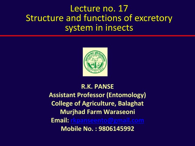 Cockroach Class 11th NEET CBSE NCERT Biology | PDF