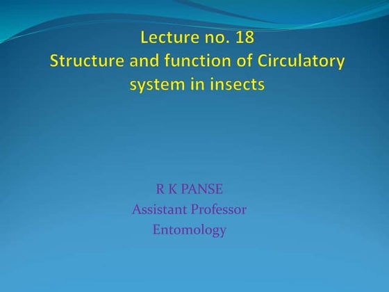 Circulatory system of insects | PPTX