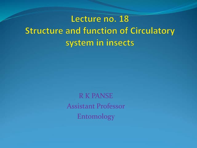 Circulatory system of insects | PPTX