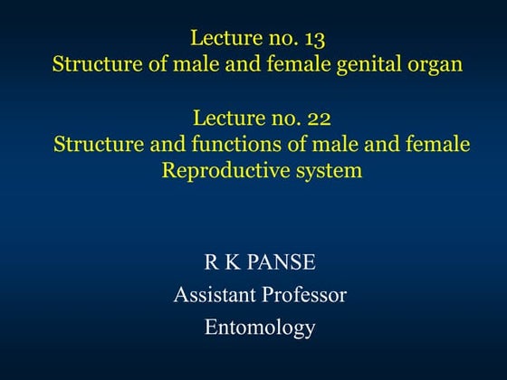 Insect-Reproductive-System (Entomology 1) | PDF | Infertility | Reproductive Health
