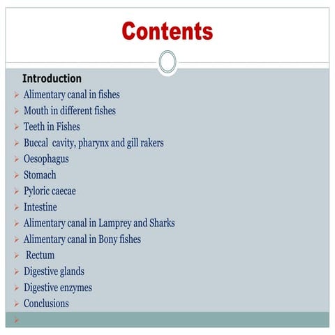 Lec 2 3 Ppt